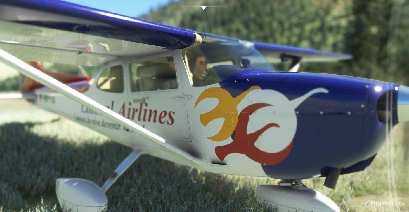 Cessna C172 (Classic) Littoral Airlines for Microsoft Flight Simulator ...