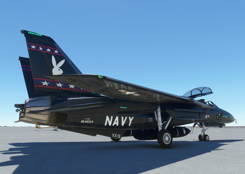 DC Designs Grumman F-14B Tomcat Repaint - VX-9 "Black Bunny" VANDY 1 ...