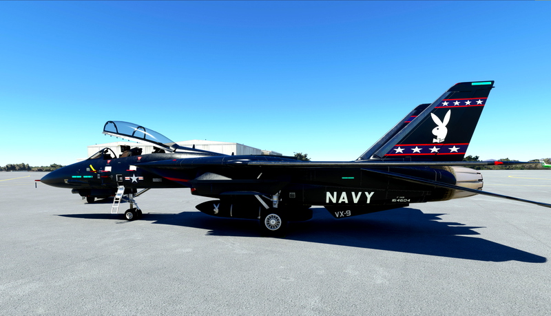 DC Designs Grumman F-14B Tomcat Repaint - VX-9 "Black Bunny" VANDY 1 ...