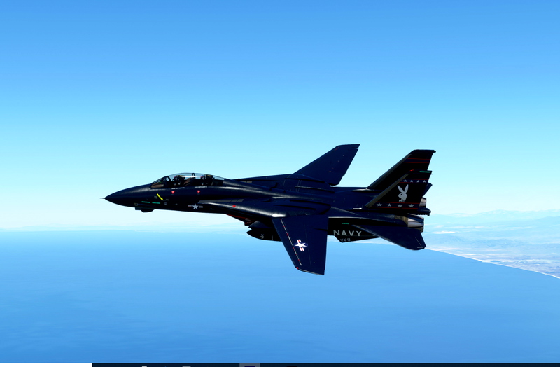 DC Designs Grumman F-14B Tomcat Repaint - VX-9 "Black Bunny" VANDY 1 ...