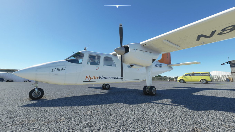 BN2 Islander Liveries for Microsoft Flight Simulator | MSFS