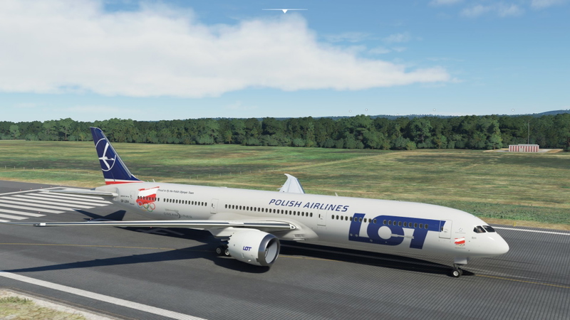 Boeing 787 Liveries for Microsoft Flight Simulator | MSFS