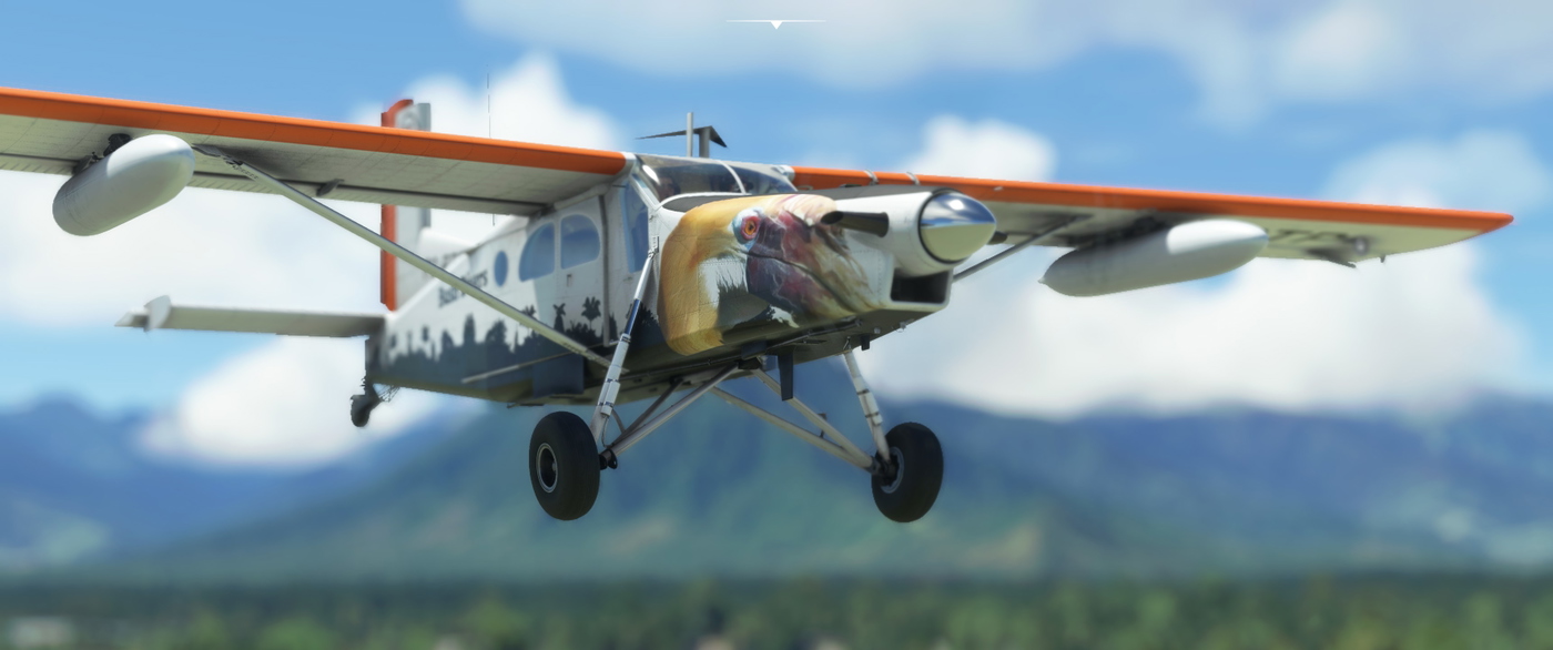 Bush Divers - Pilatus PC-6 Turbo Porter Livery для Microsoft Flight ...