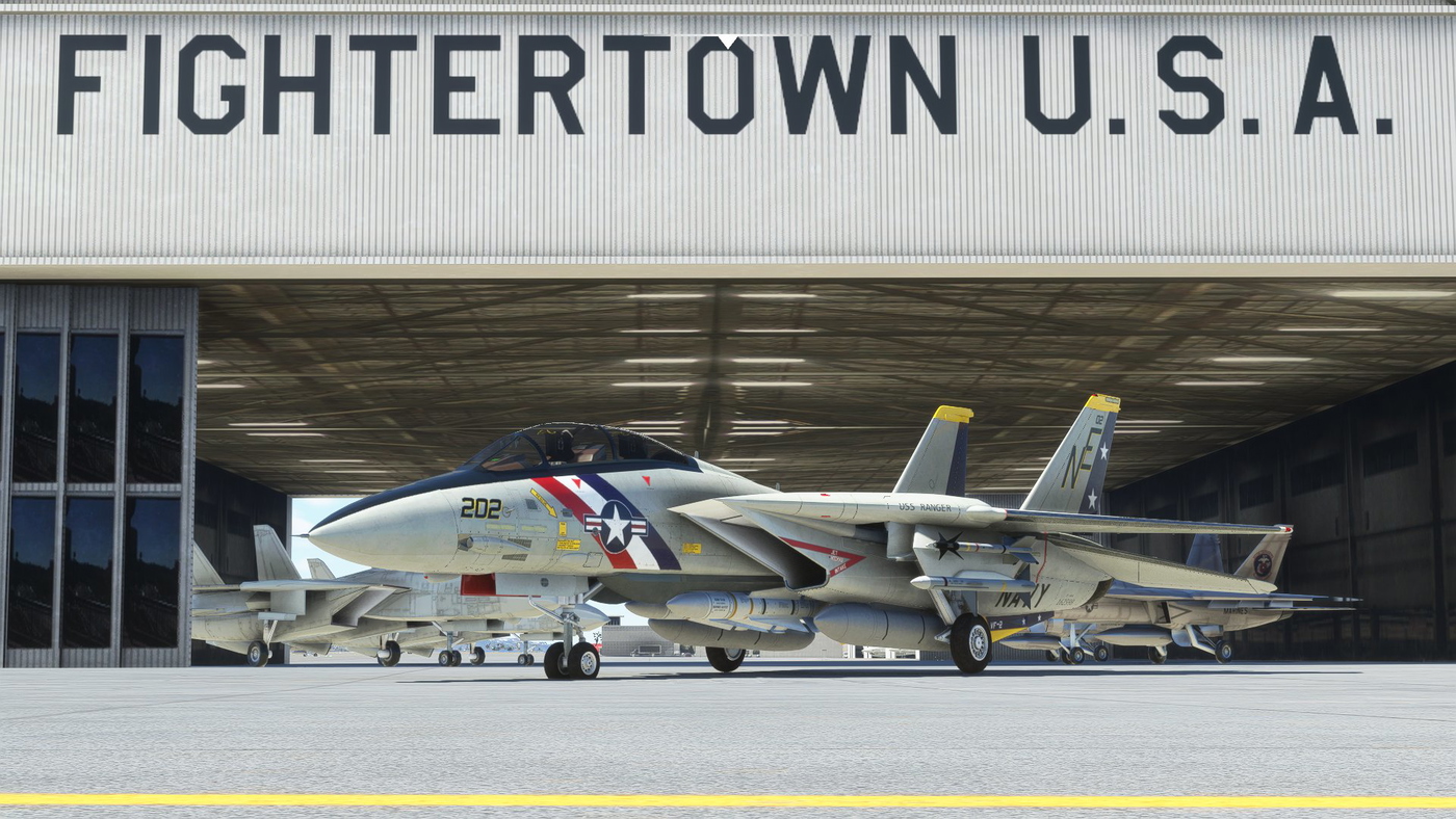 DC Designs F-14 A NE202 VF-2 Bounty Hunters for Microsoft Flight ...