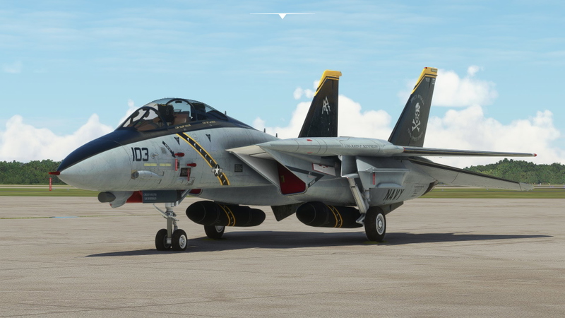 DC Designs F-14 Liveries for Microsoft Flight Simulator | MSFS