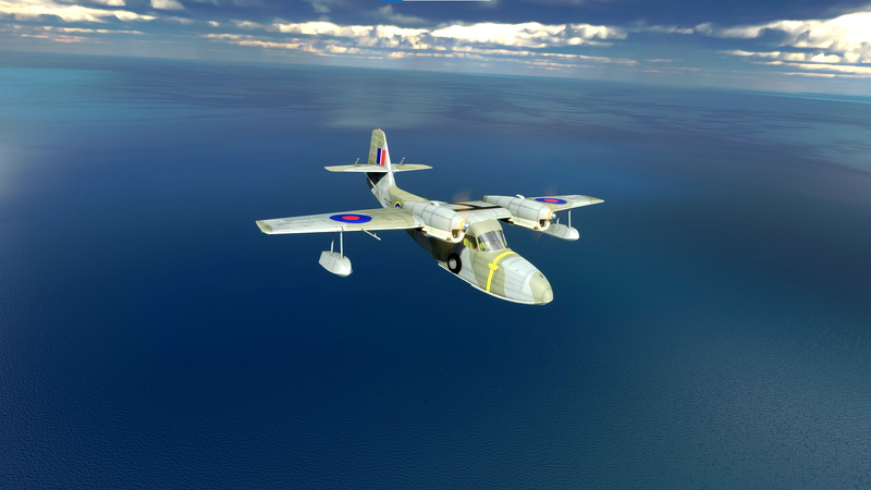 Grumman G44A Liveries for Microsoft Flight Simulator | MSFS | Flightsim.to