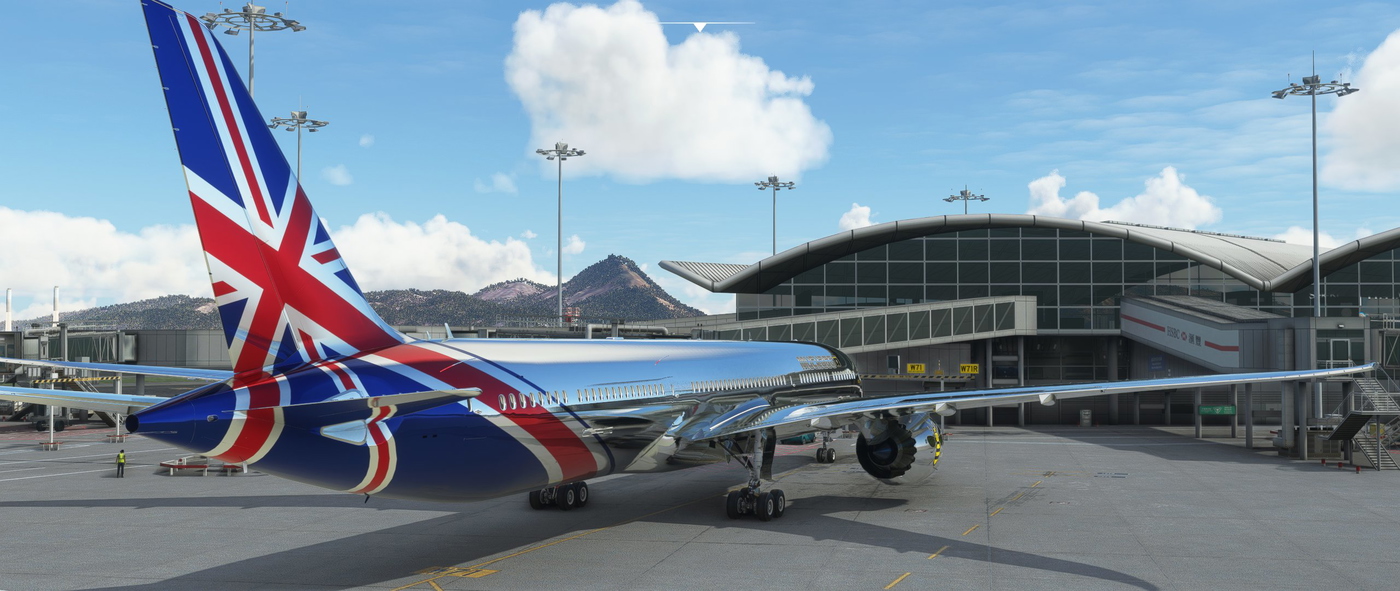 B787 MUCKA66'S CHROME LIVERY(REQUESTED LIVERY) for Microsoft Flight ...