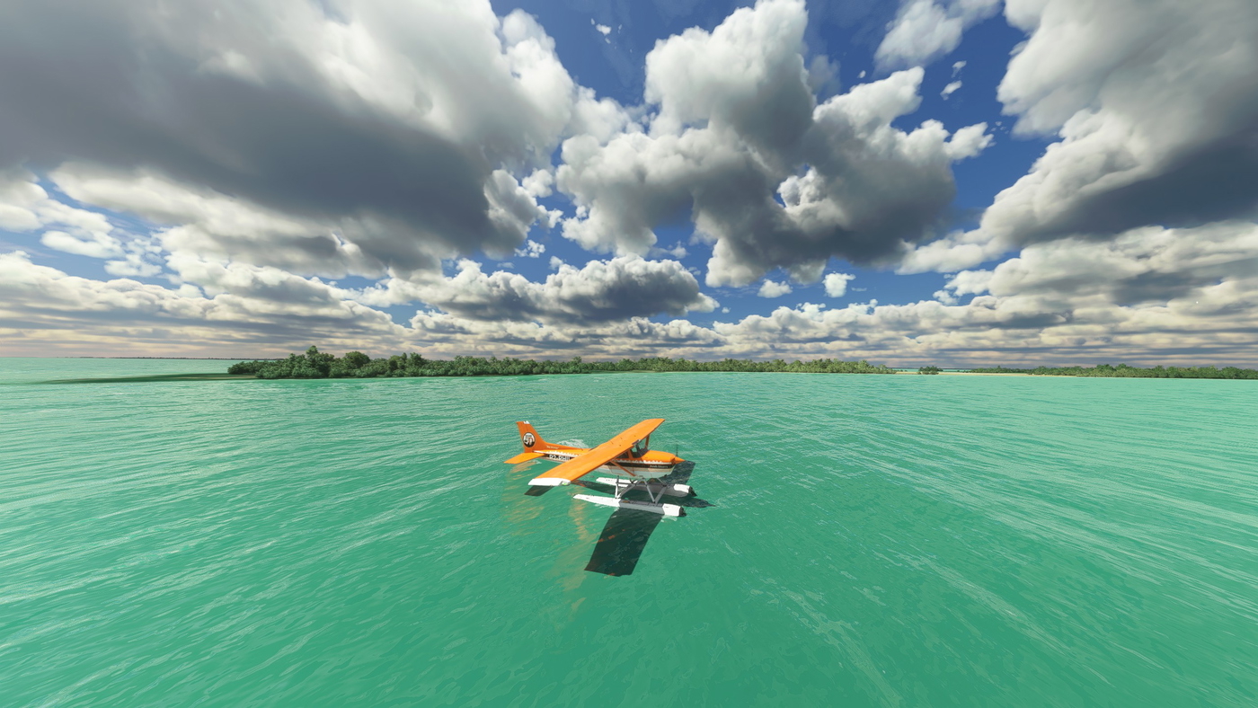 Bush Divers VA - C172 Float G1000 "Big Orange" Livery для Microsoft ...