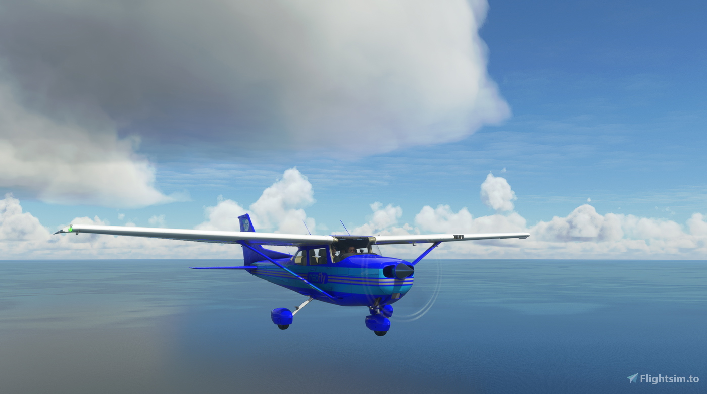 Cessna 172 G1000 Neofly TGR for Microsoft Flight Simulator | MSFS