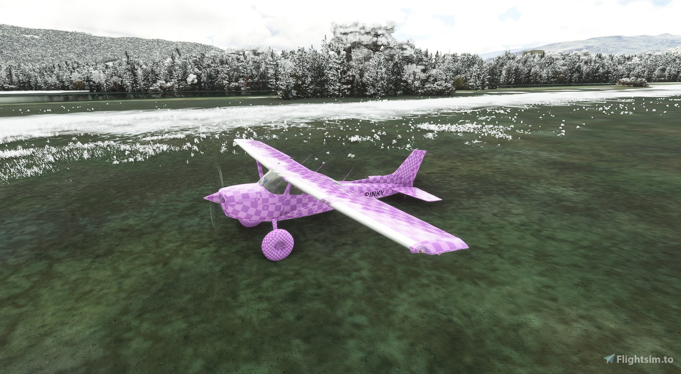 Cessna C172 Pink Troll for Microsoft Flight Simulator | MSFS
