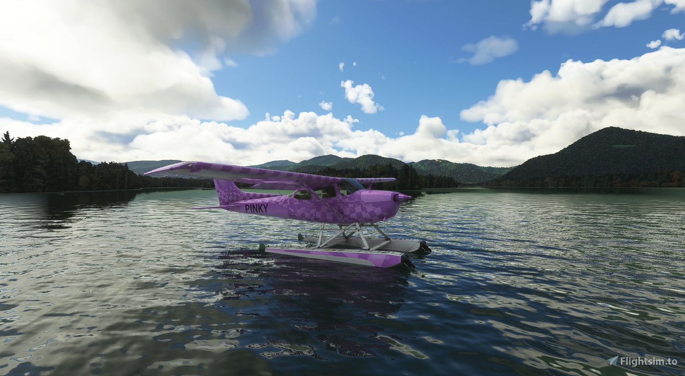 Cessna C172 Pink Troll for Microsoft Flight Simulator | MSFS