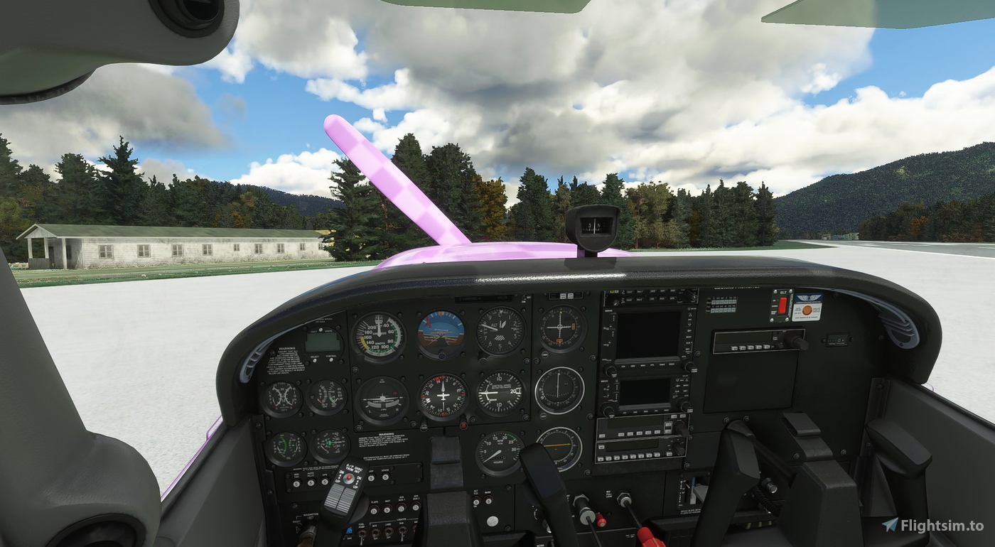 Cessna C172 Pink Troll for Microsoft Flight Simulator | MSFS