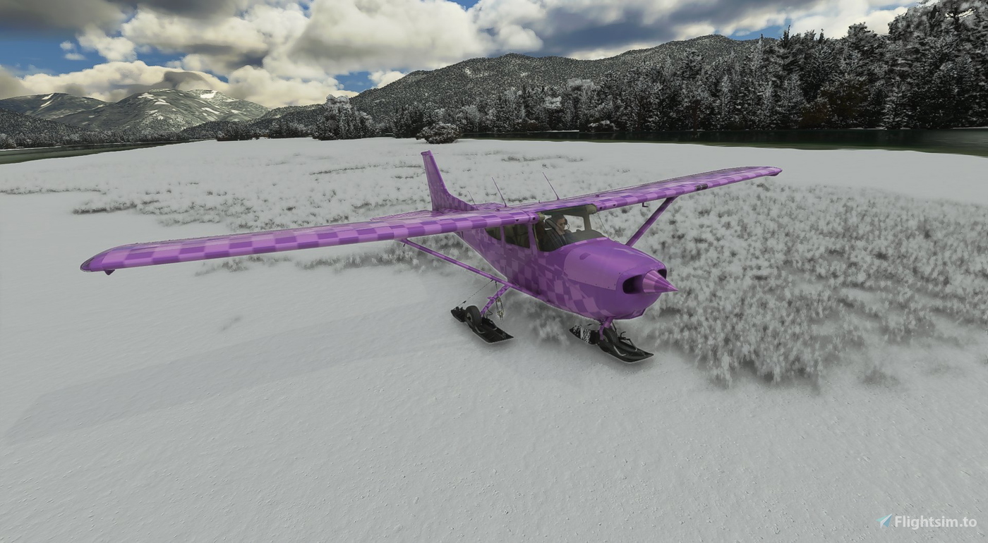 Cessna C172 Pink Troll for Microsoft Flight Simulator | MSFS