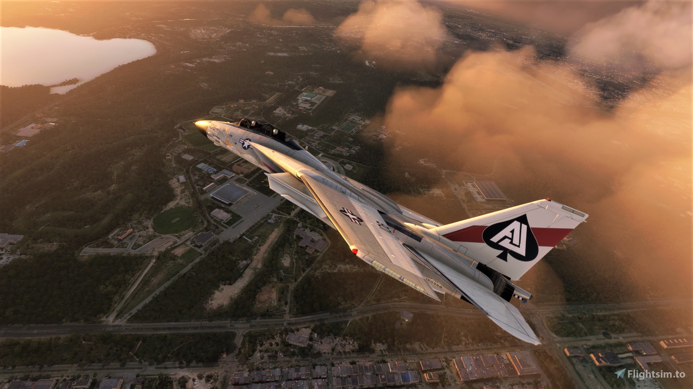 DCD F-14A VF-41 "Black Aces" Retro Colors (Livery Only) for Microsoft ...