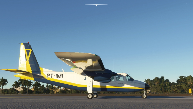 BN2 Islander Liveries for Microsoft Flight Simulator | MSFS