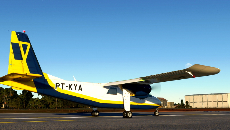 BN2 Islander Liveries for Microsoft Flight Simulator | MSFS