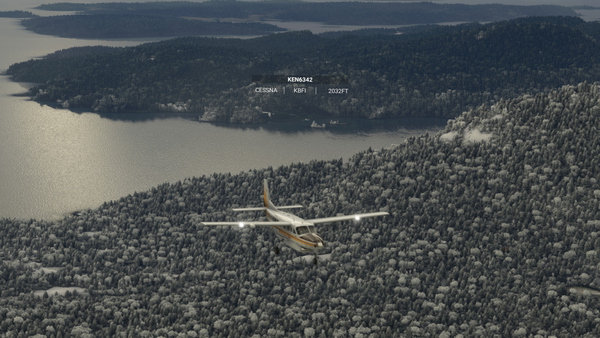 F/A-18E ICAO Type Designator and ATC Model Name Fix for Microsoft ...