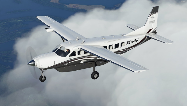 Cessna 208 B Liveries for Microsoft Flight Simulator | MSFS