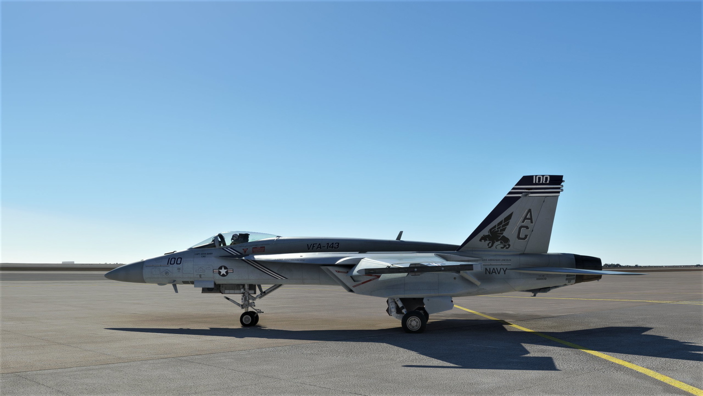 F/A-18E Rhino - VFA-143 Pukin Dogs CAG Bird pour Microsoft Flight ...