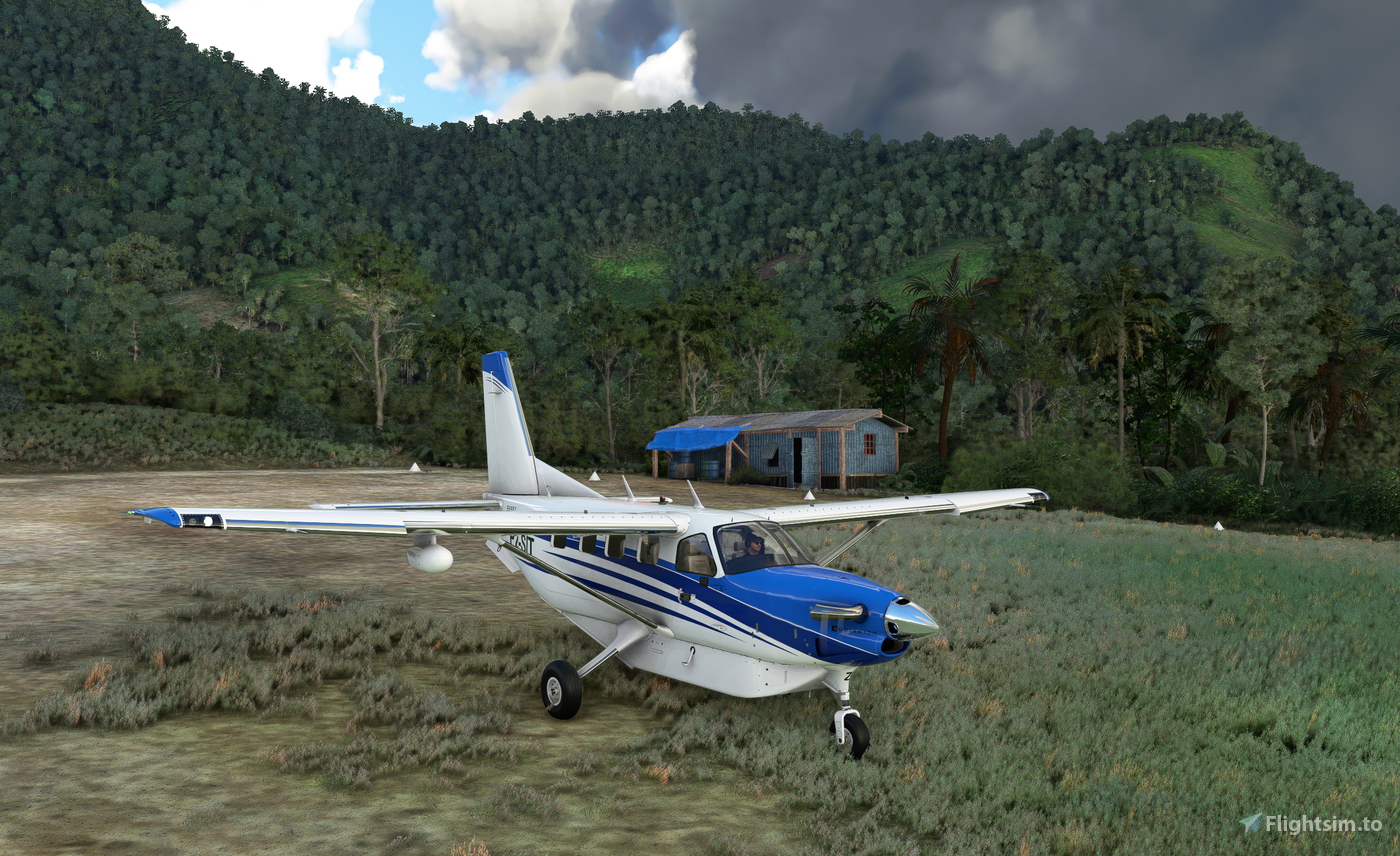 Kodiak 100 - SIL Aviation PNG 4K V2.0 for Microsoft Flight Simulator | MSFS