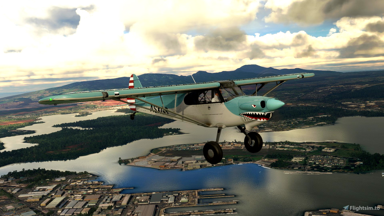 Cub Crafter X-Cub Liveries for Microsoft Flight Simulator | MSFS ...