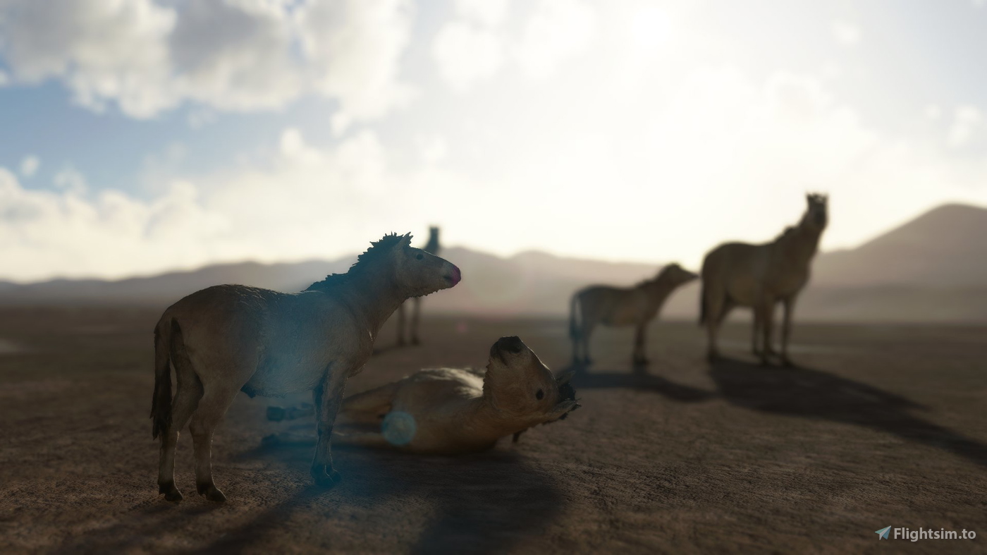 [ZMBS] - Bulgan Sum Airfield, Mongolia for Microsoft Flight Simulator ...