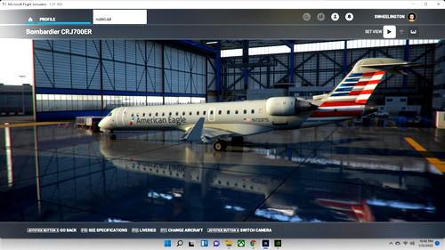 AMERICAN EAGLE PSA N723PS » Microsoft Flight Simulator