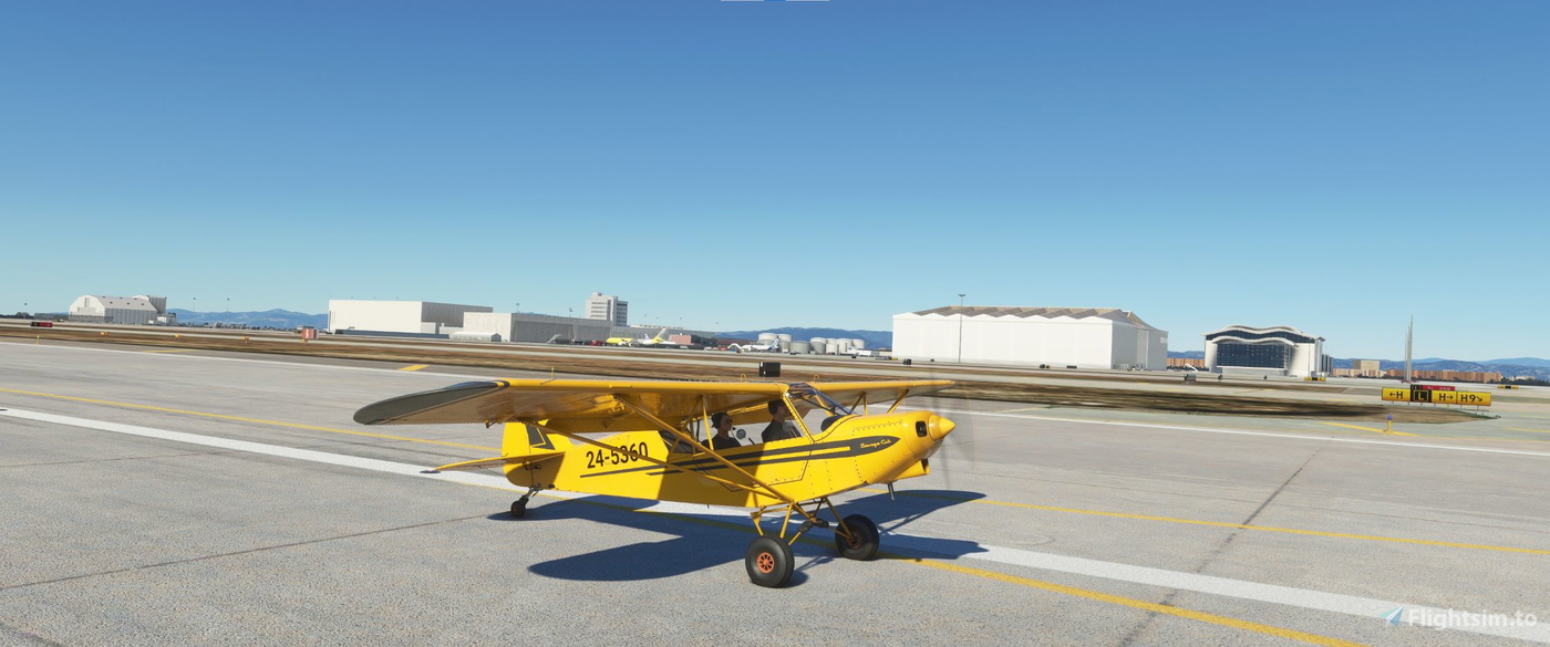 Asobo Savage Cub Realism Mod for Microsoft Flight Simulator | MSFS