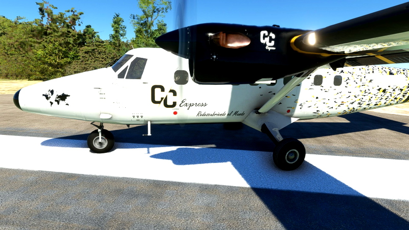 Aerosoft Twin Otter Liveries for Microsoft Flight Simulator | MSFS ...