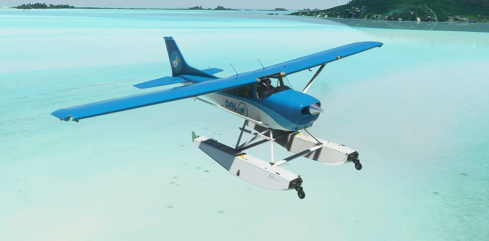 DAL C172 Skyhawk (FLOATS ONLY) Livery for Microsoft Flight Simulator | MSFS