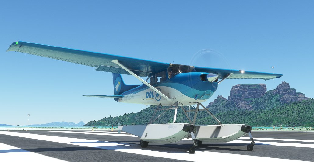 DAL C172 Skyhawk (FLOATS ONLY) Livery for Microsoft Flight Simulator | MSFS