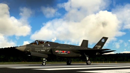 F-35 AA-1 Prototype Demo Team for Indiafoxecho F-35A » Microsoft Flight ...