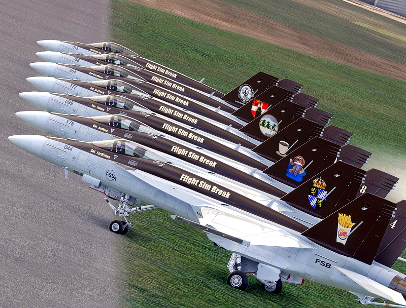 FSB F18 Warrior Package for Microsoft Flight Simulator | MSFS