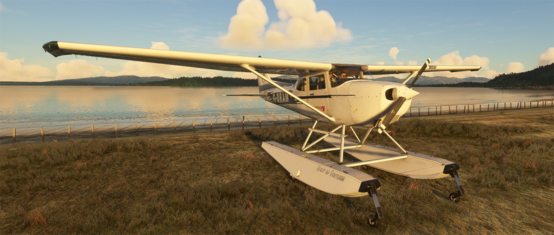 Cessna 172 Liveries for Microsoft Flight Simulator | MSFS