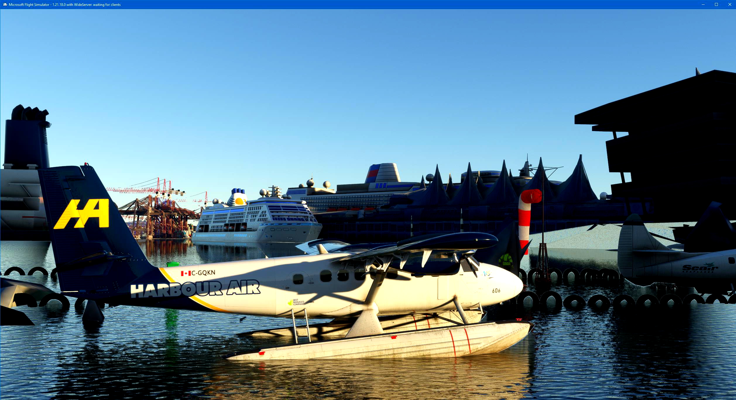 Aerosoft Twin Otter Liveries for Microsoft Flight Simulator | MSFS ...