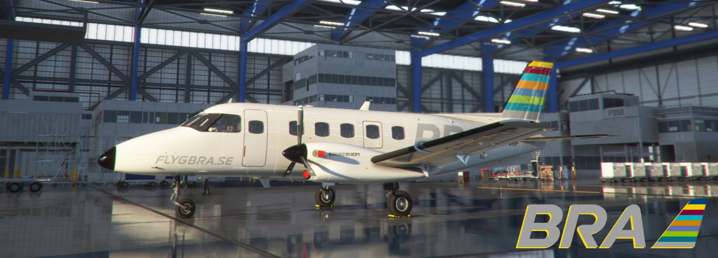 Nextgensim Embraer EMB110P1 Bandeirante Flyg Bra 对于 Microsoft Flight ...