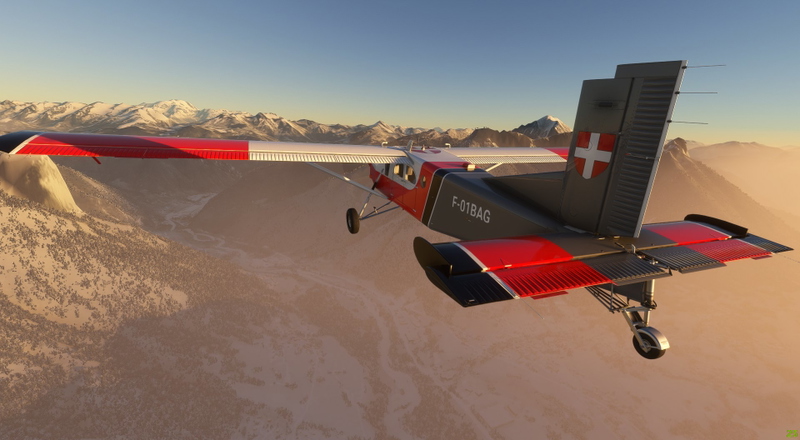Pilatus PC-6 Porter Liveries for Microsoft Flight Simulator | MSFS