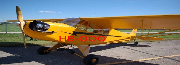 Zlin Savage Cub Liveries for Microsoft Flight Simulator | MSFS