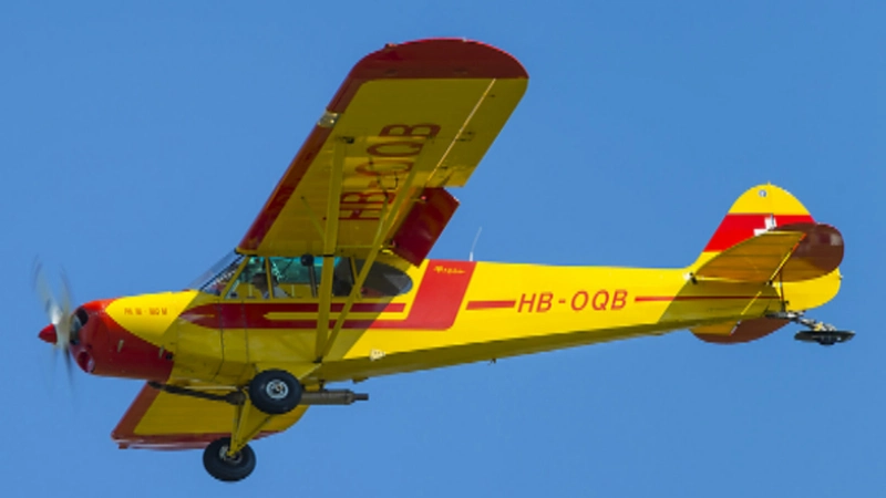 Zlin Savage Cub Liveries for Microsoft Flight Simulator | MSFS