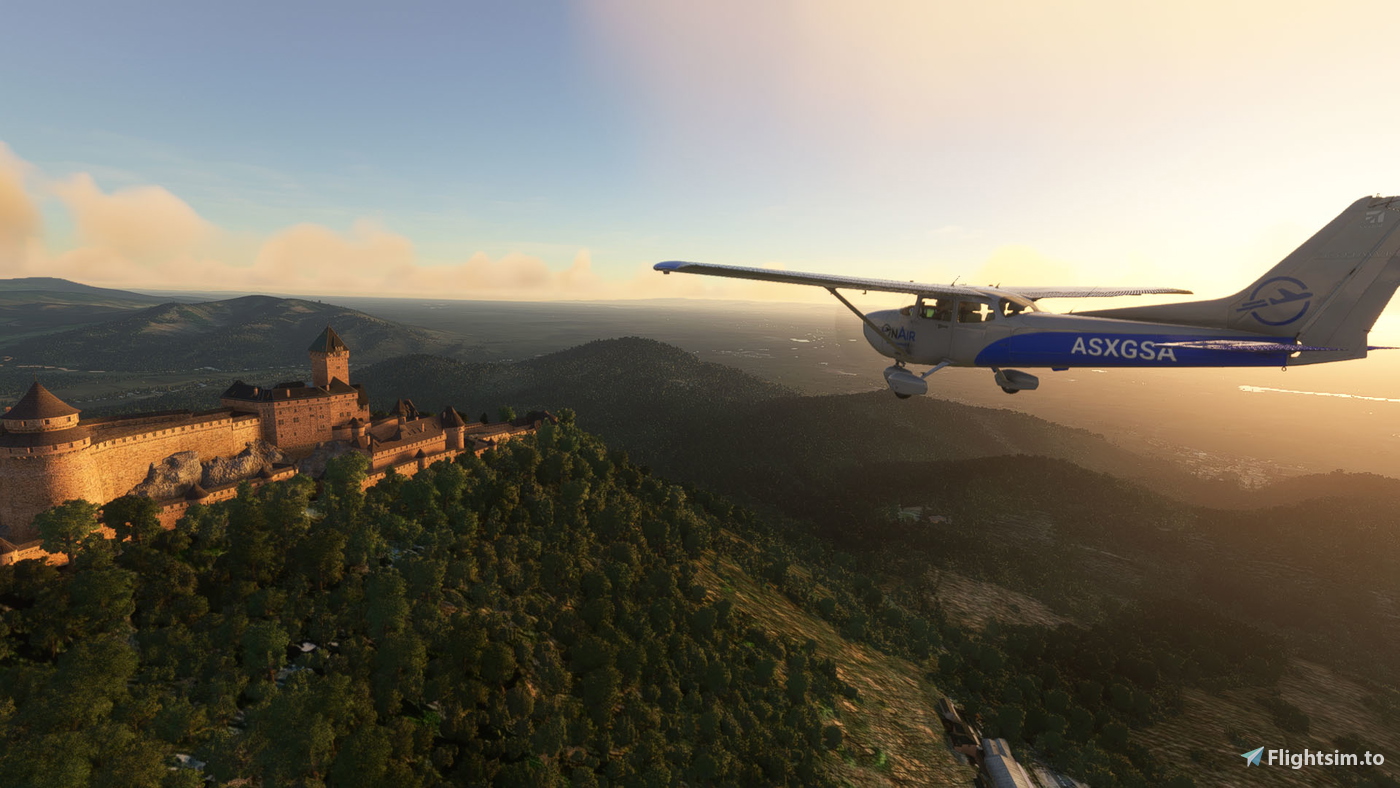 Cessna 172 OnAir Airline Manager for Microsoft Flight Simulator | MSFS