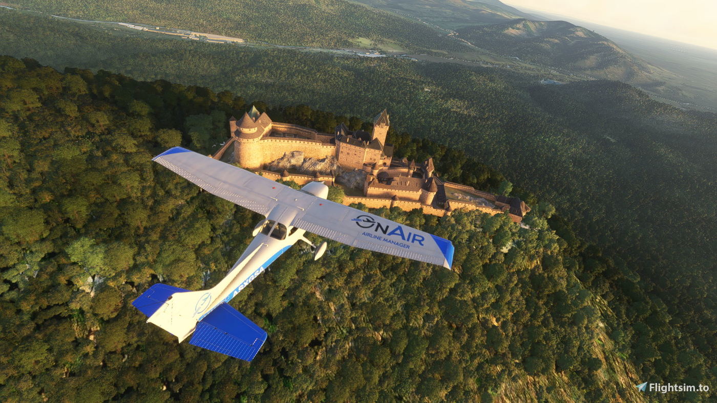 Cessna 172 OnAir Airline Manager for Microsoft Flight Simulator | MSFS
