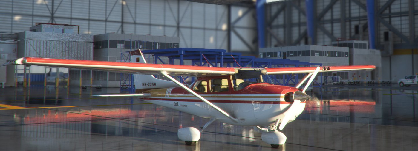Cessna C-172 ARALL for Microsoft Flight Simulator | MSFS