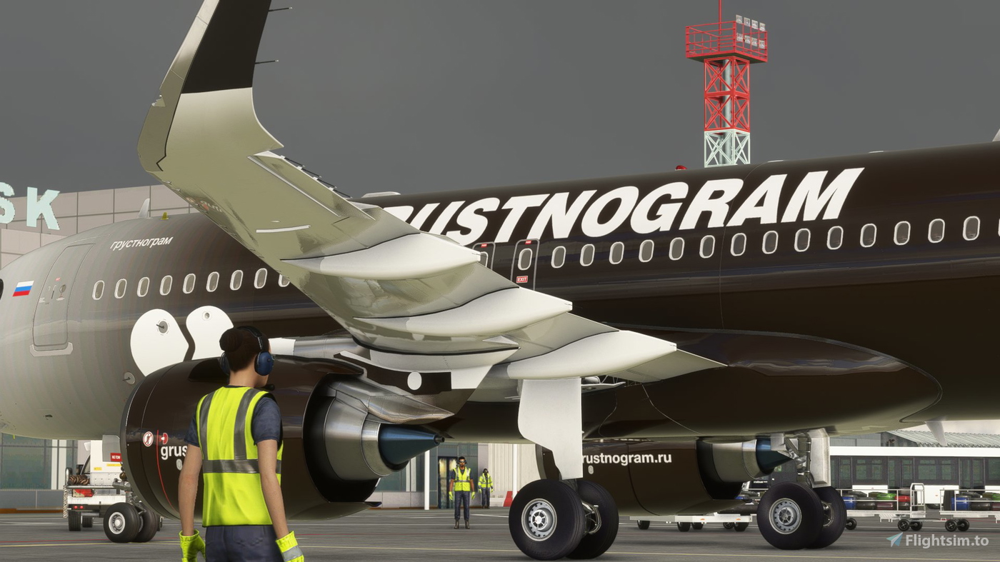 [A32NX] FBW A320 Grustnogram for Microsoft Flight Simulator | MSFS