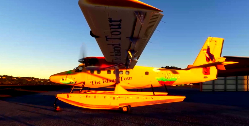 Aerosoft Twin Otter Liveries for Microsoft Flight Simulator | MSFS ...