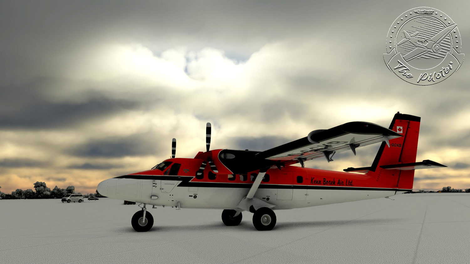 Aerosoft Twin Otter Liveries for Microsoft Flight Simulator | MSFS ...