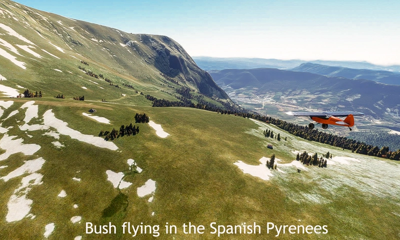 Bush Strips Sceneries for Microsoft Flight Simulator | MSFS | Flightsim.to