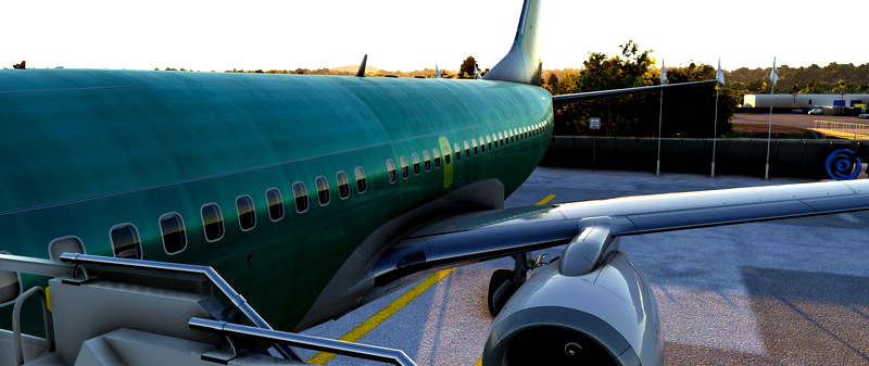 737-700 Factory Roll out livery for Microsoft Flight Simulator | MSFS