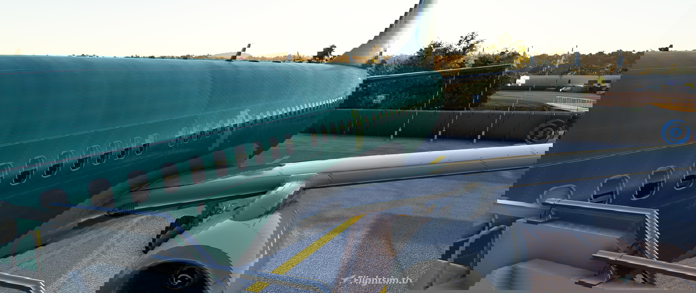 737-700 Factory Roll out livery for Microsoft Flight Simulator | MSFS