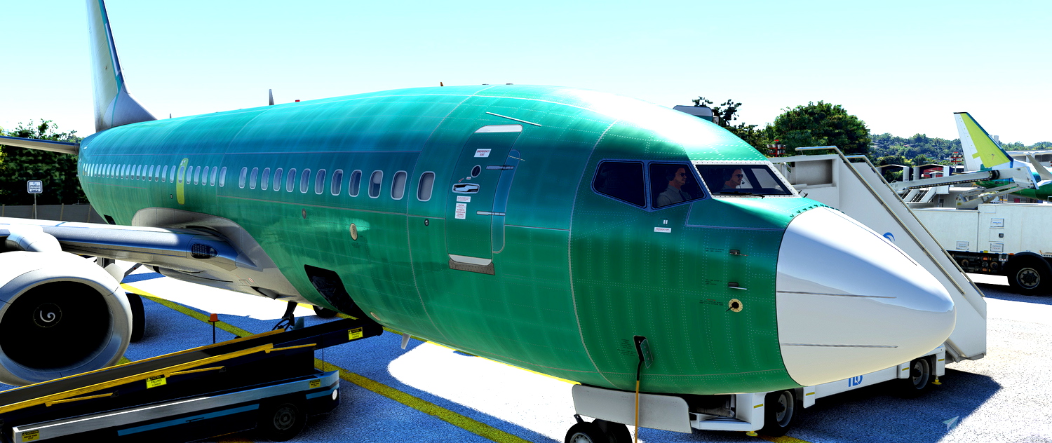 Liveries - PMDG Boeing 737-700 Add-Ons for Microsoft Flight Simulator ...