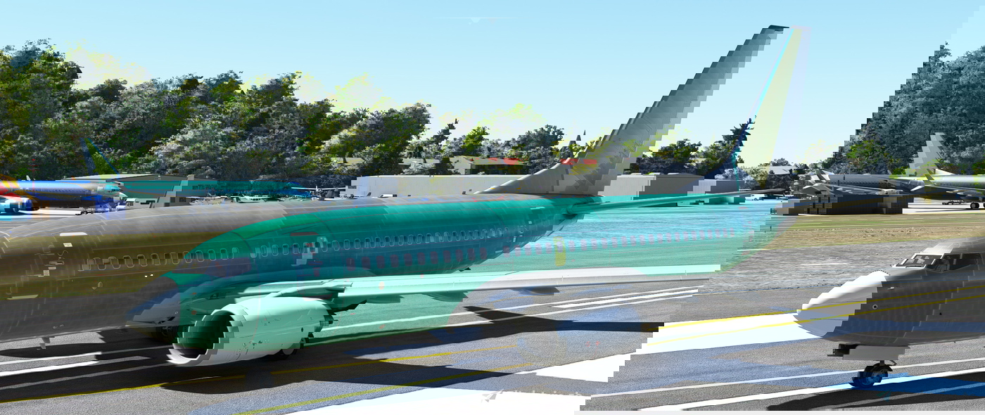 737-700 Factory Roll out livery for Microsoft Flight Simulator | MSFS